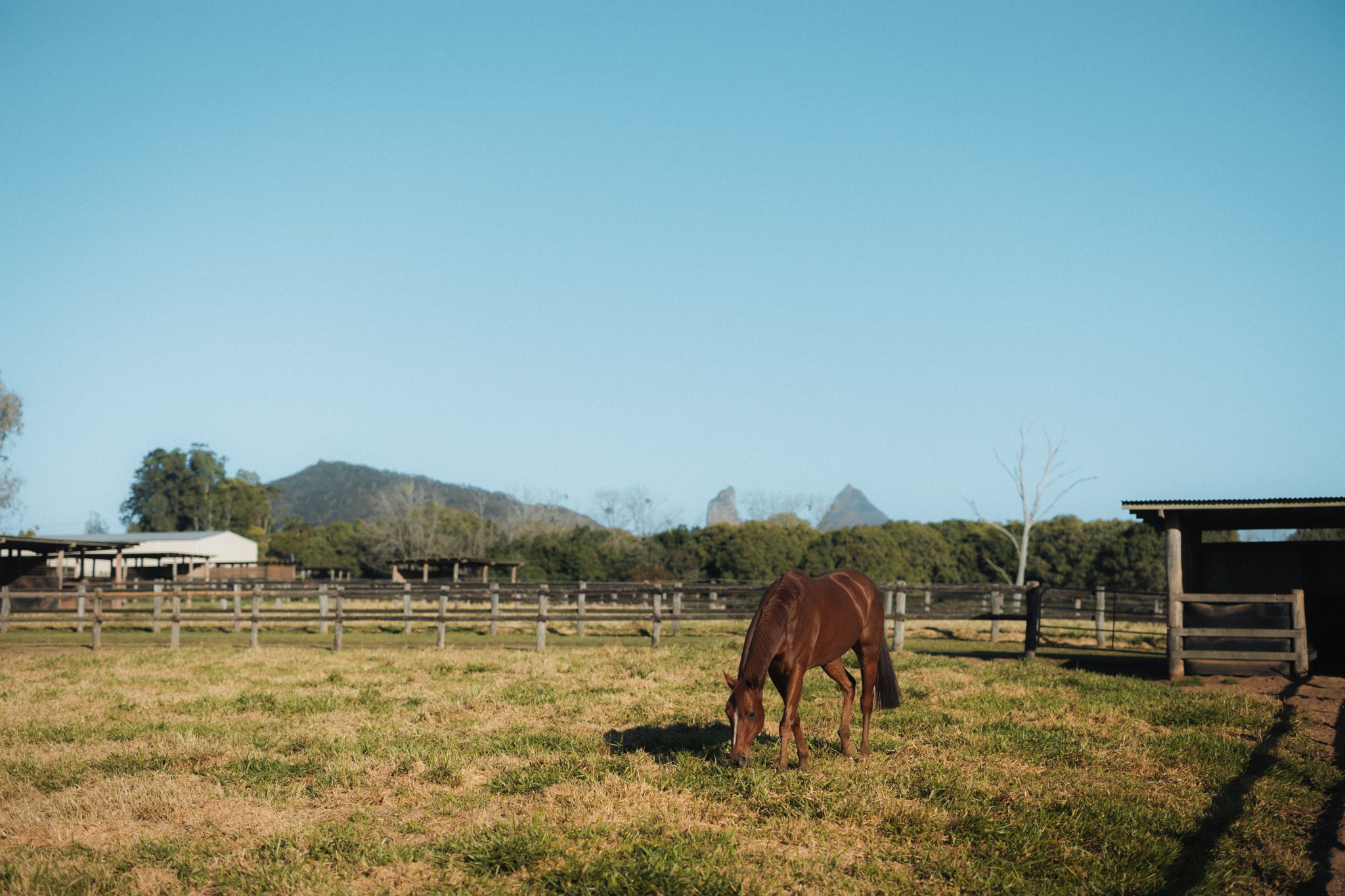Embrace Farm | Breaking, Pre-Training & Spelling Full-Service ...
